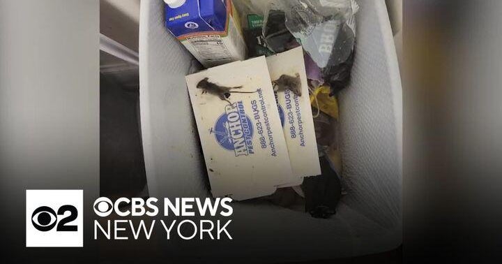 Seniors say they are living in deplorable living conditions in N.J ...