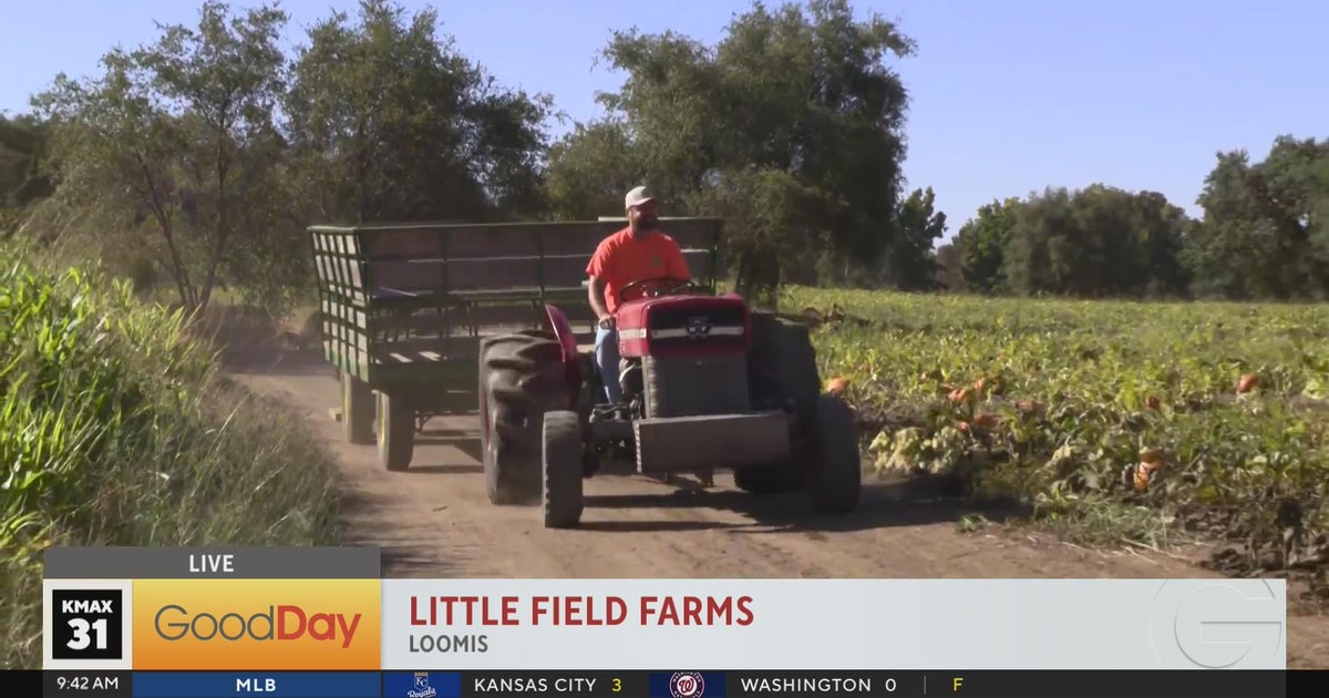 Little Field Farms - Good Day Sacramento