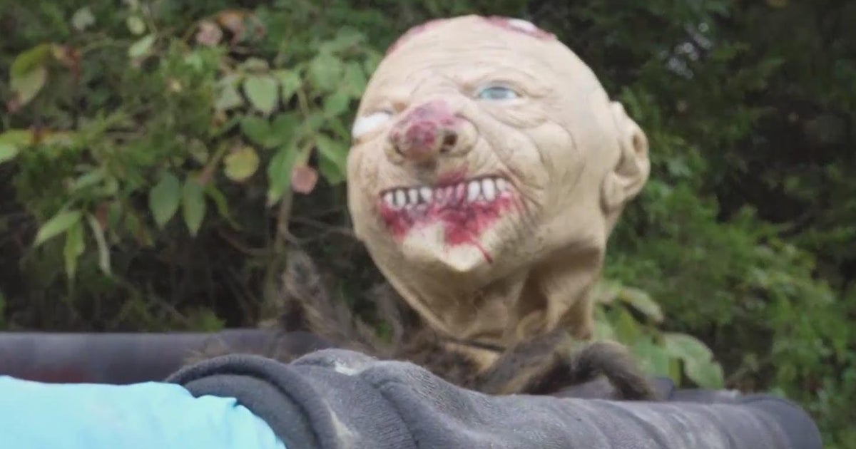 Mesquite's Guts & Gory Zombie Fun Run takes place this weekend - CBS Texas