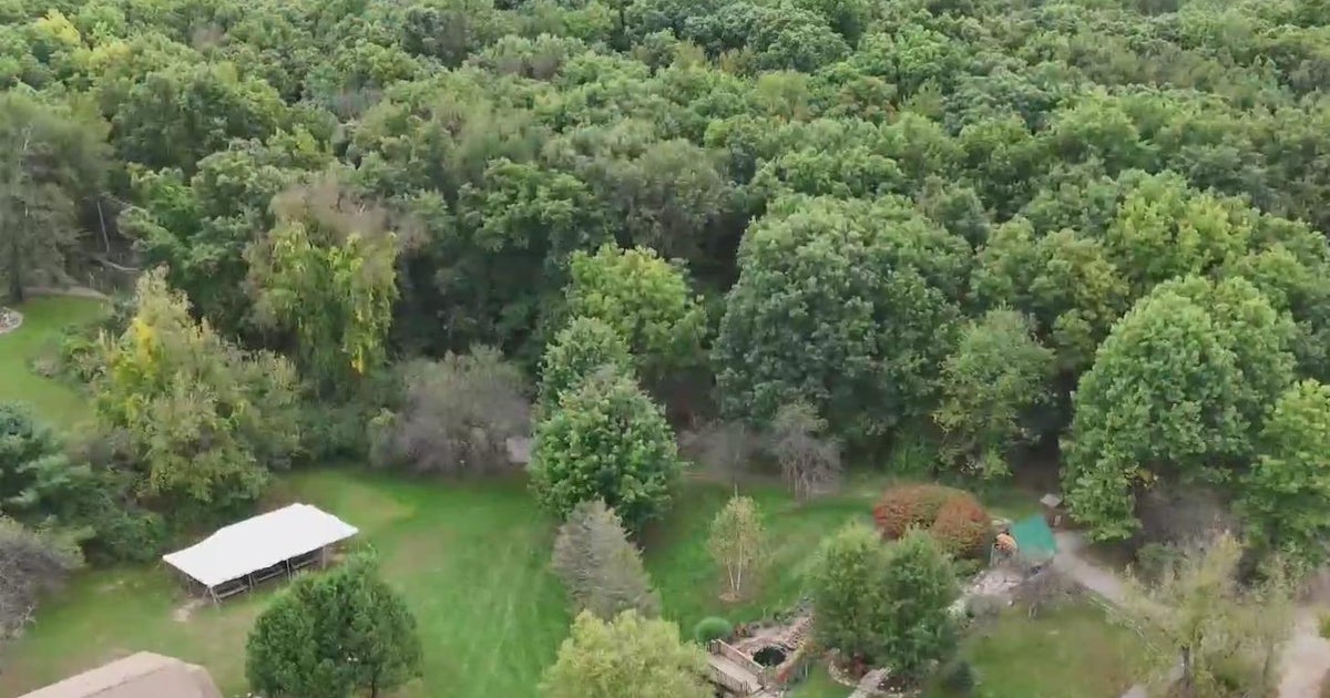 12-year-old boy dies after tree falls on him in Howell, police say ...