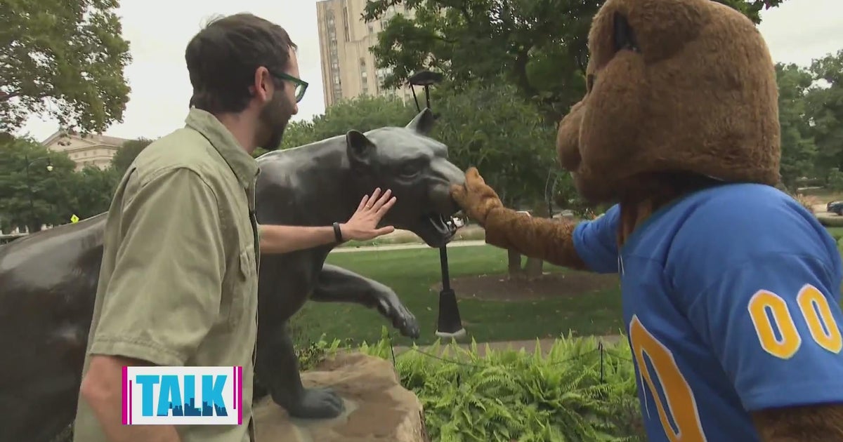 Boaz Meets the Mascots: ROC and the Pitt Panthers - CBS Pittsburgh
