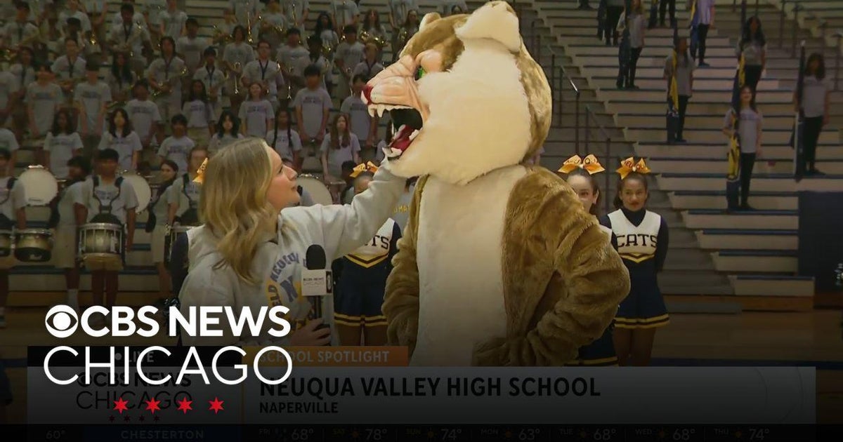 Neuqua Valley High School in the School Spotlight as Laura Bannon ...