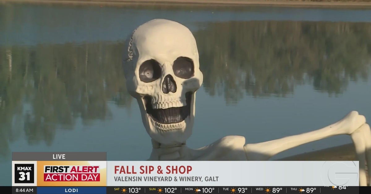 Fall Sip & Shop at Valensin Winery - Good Day Sacramento