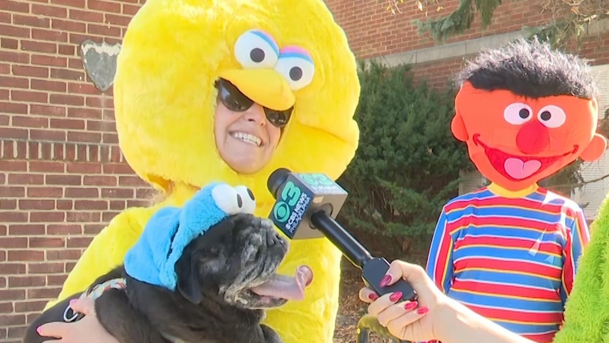 18th Annual Mutt Strut raises $130,000 for Philadelphia's largest ...