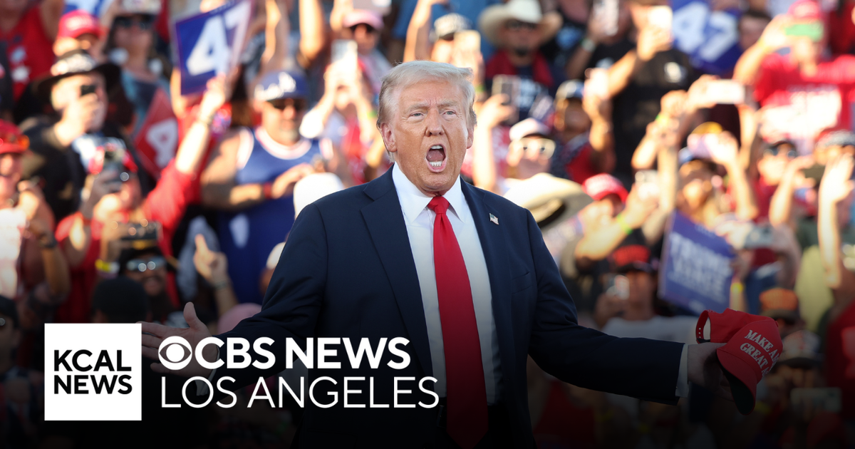 Man arrested with guns, fake license plate outside of Trump rally sues ...