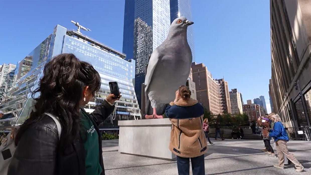 What you never knew about pigeons - CBS News