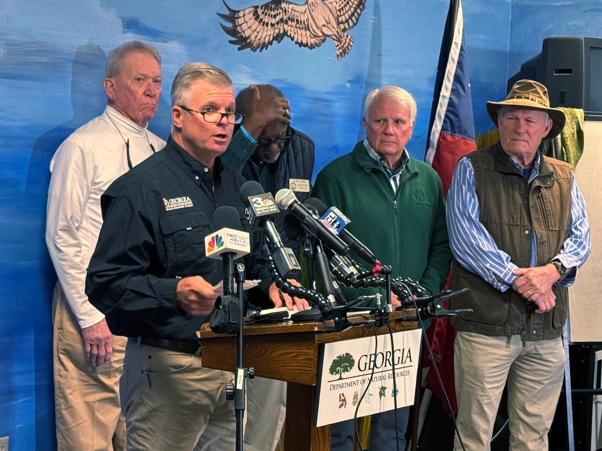 Witnesses describe frantic rescue effort after Georgia dock gangway ...