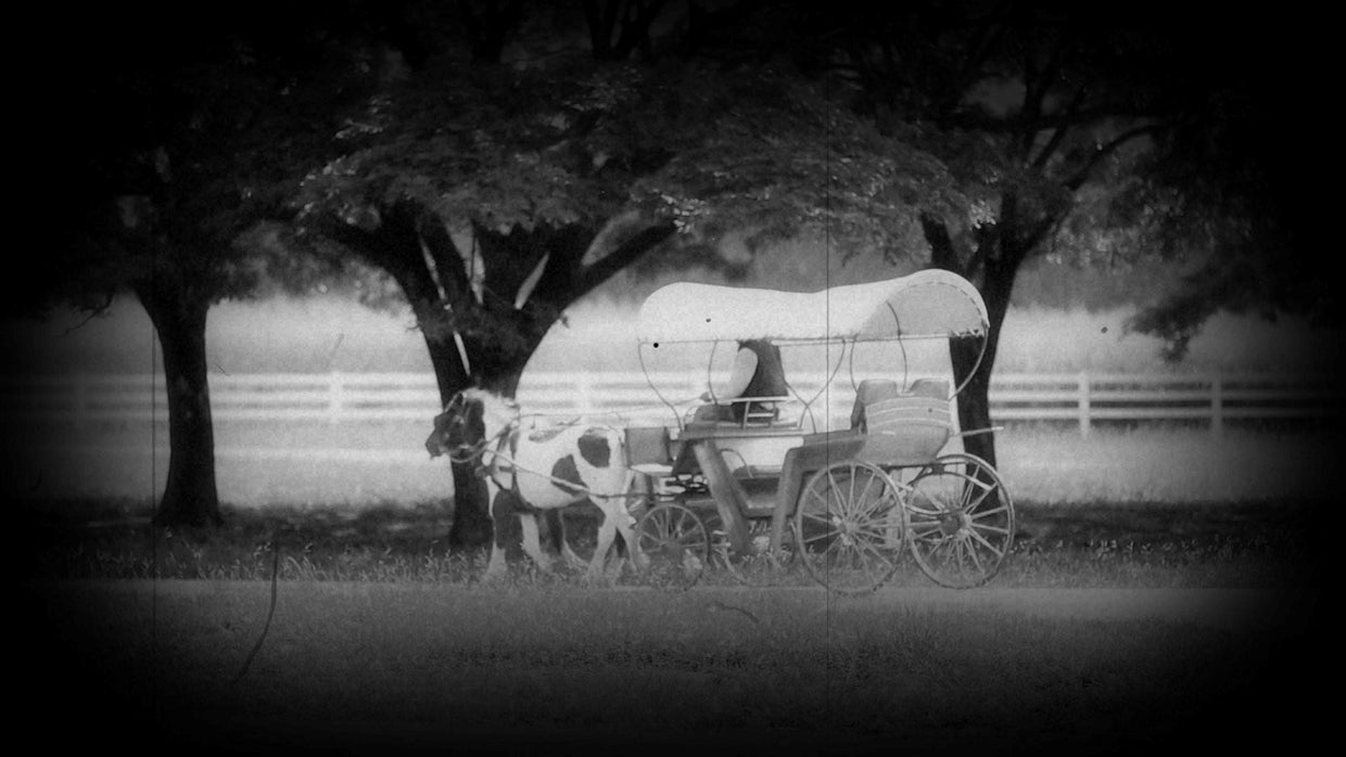 The "Wagon Wheel Illusion" and what it does to our eyes | Hey Ray ...