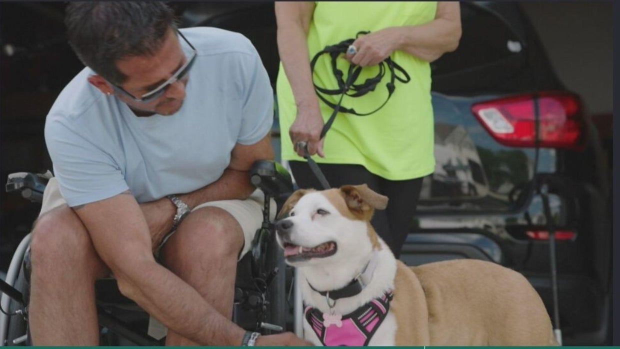 Tiki the dog helps Illinois man Chris Smith survive gunshot to the head ...