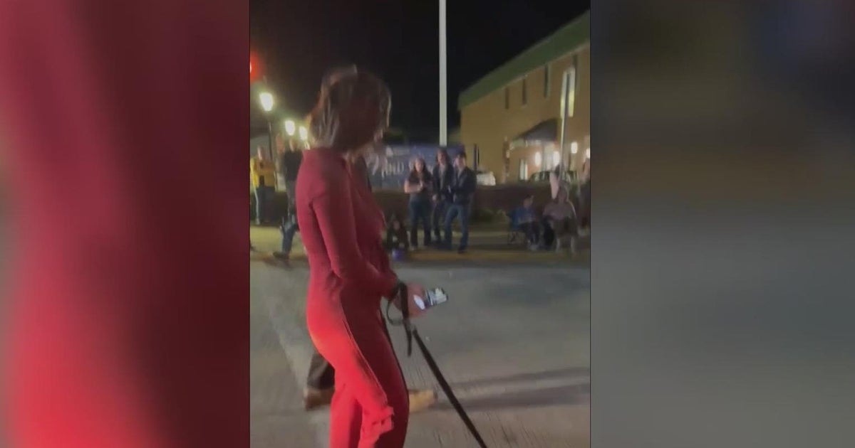 Pennsylvania mayor appalled by Halloween parade float with Harris ...