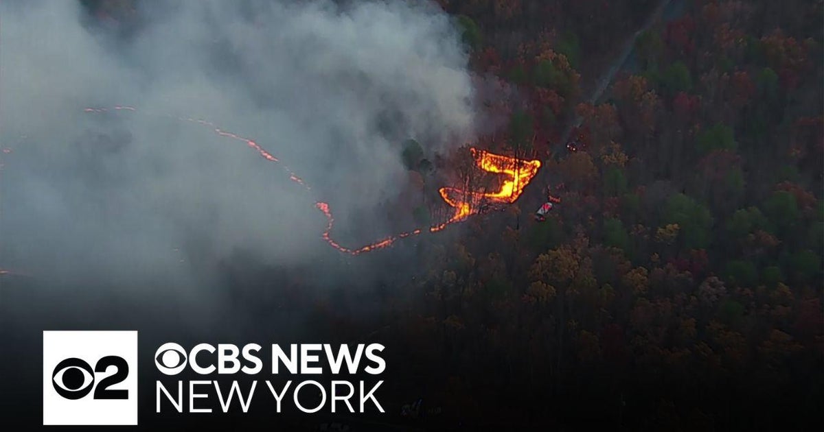 Crews battling wildfire in Ocean County, New Jersey - CBS New York