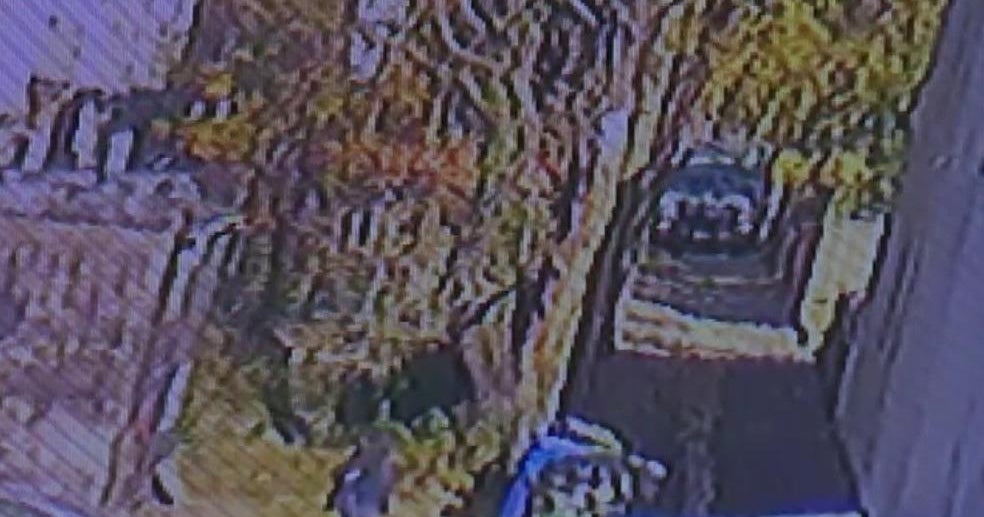 Video shows incident where Baltimore DPW worker becomes trapped by ...