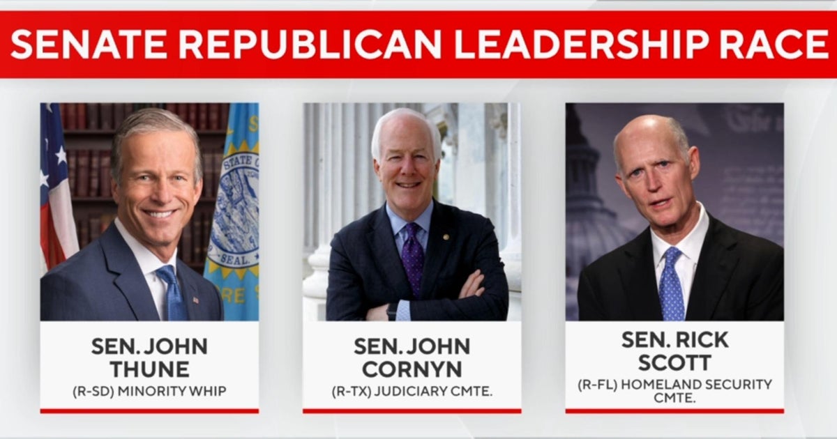 Rick Scott, John Thune or John Cornyn could be next Senate majority ...
