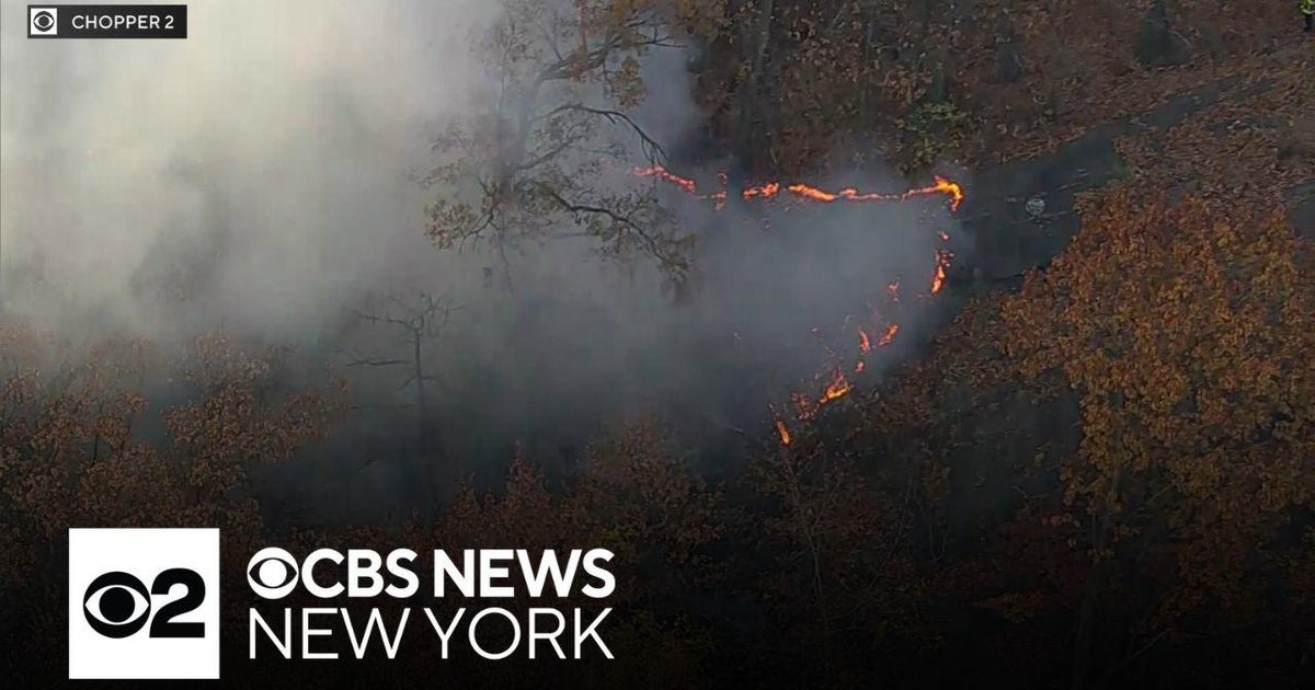 Brush fire burning in Highbridge Park along Harlem River Drive in NYC ...