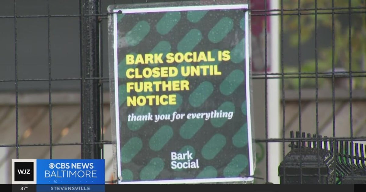Maryland-based dog bar Bark Social announces abrupt closure with plans ...