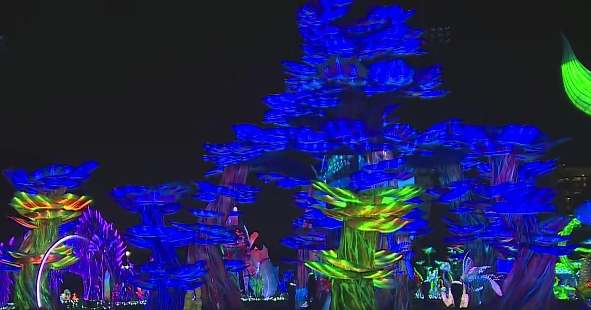 Rain won't stop Stockton lantern festival from making a comeback - CBS ...