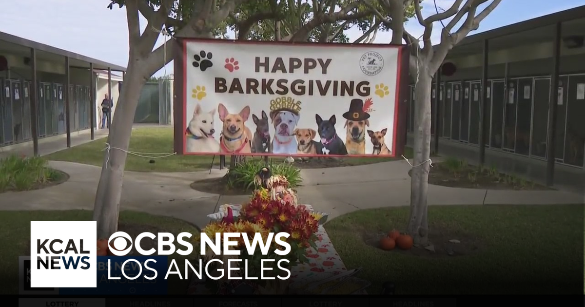 San Clemente Animal Shelter