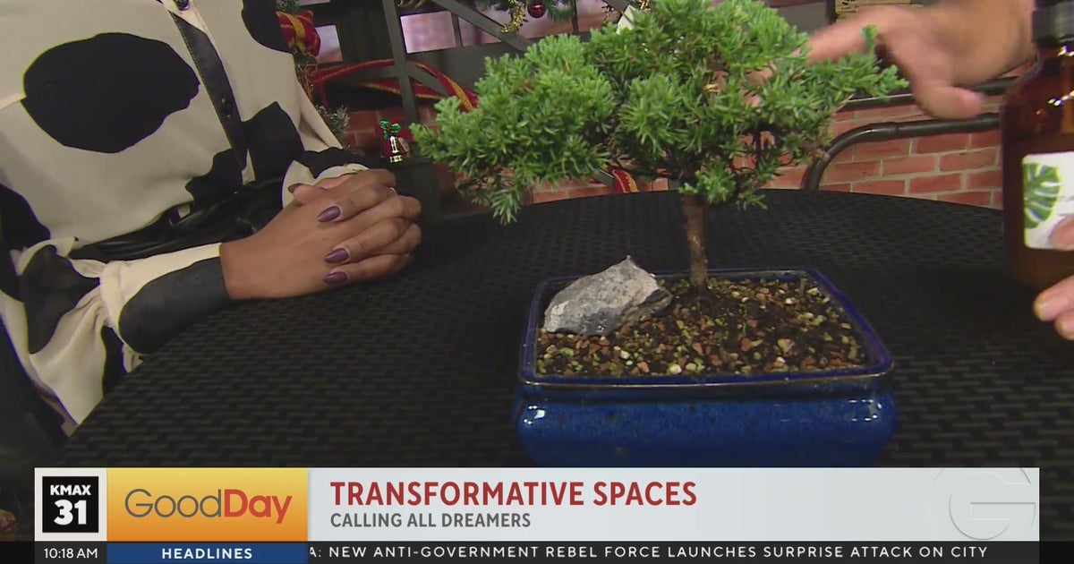 Transformative Spaces, 10am - Good Day Sacramento