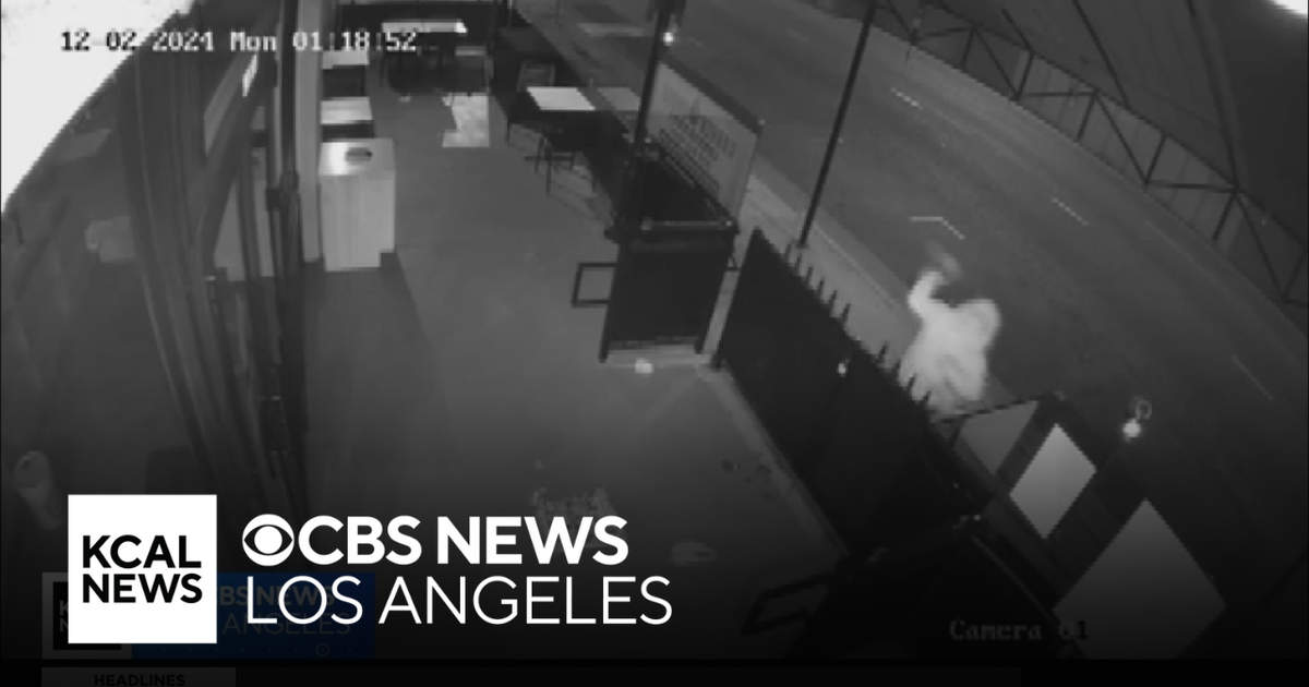 Burglar caught on camera throwing rock through Woodland Hill restaurant ...