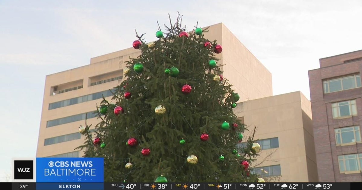 Mayor's Tree Lighting to shine near Baltimore's City Hall - CBS Baltimore