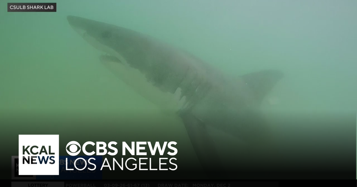 New study discovers potential way to reduce human interactions with ...