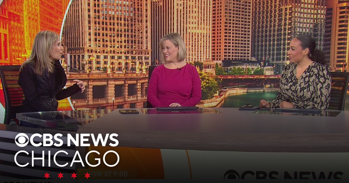 White Sox Charities launches new grant program - CBS Chicago