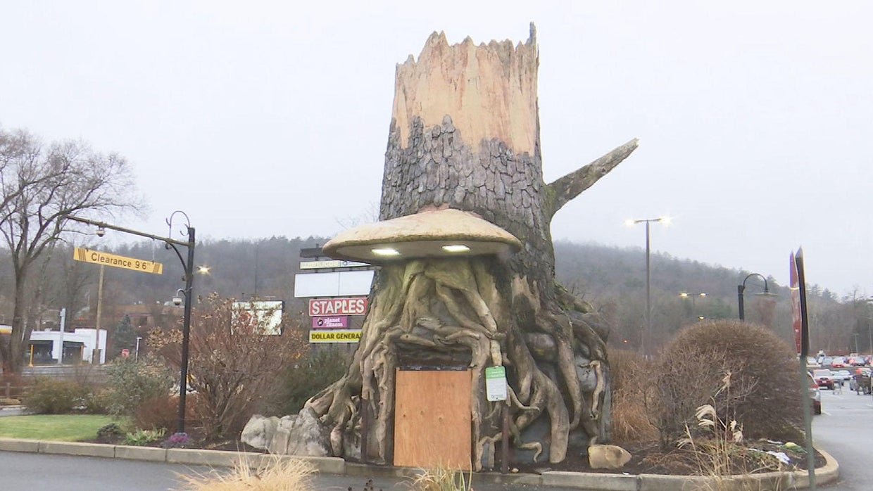 Unique ATM tree in western Massachusetts hit by thieves, "large sum ...