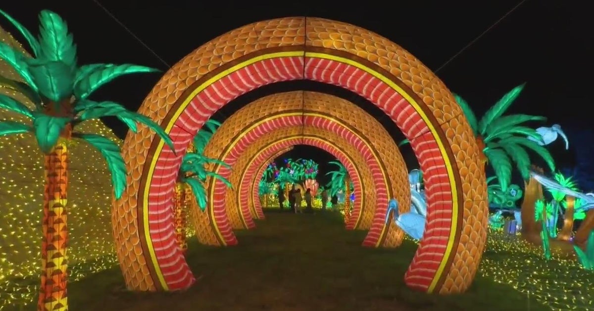 Oakland Zoo hosts annual Christmas light spectacular "Glowfari" - CBS ...