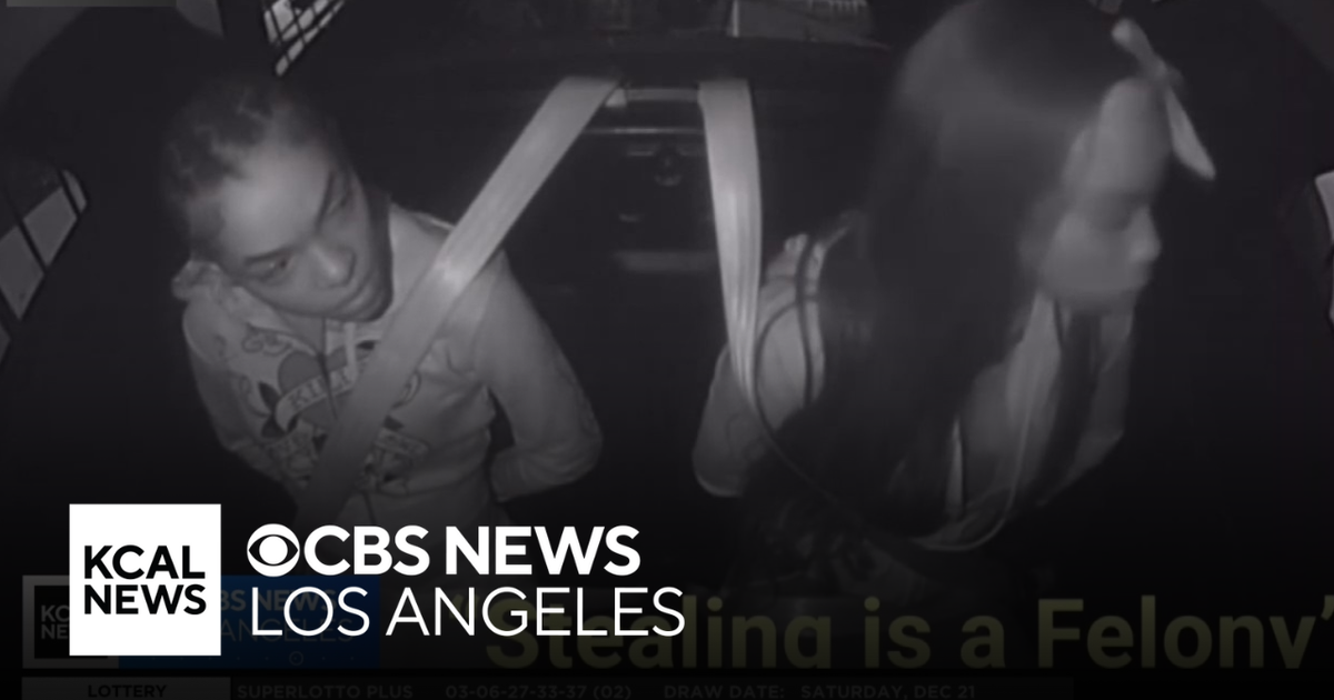 Viral video shows moments shoplifting suspects discuss new California ...