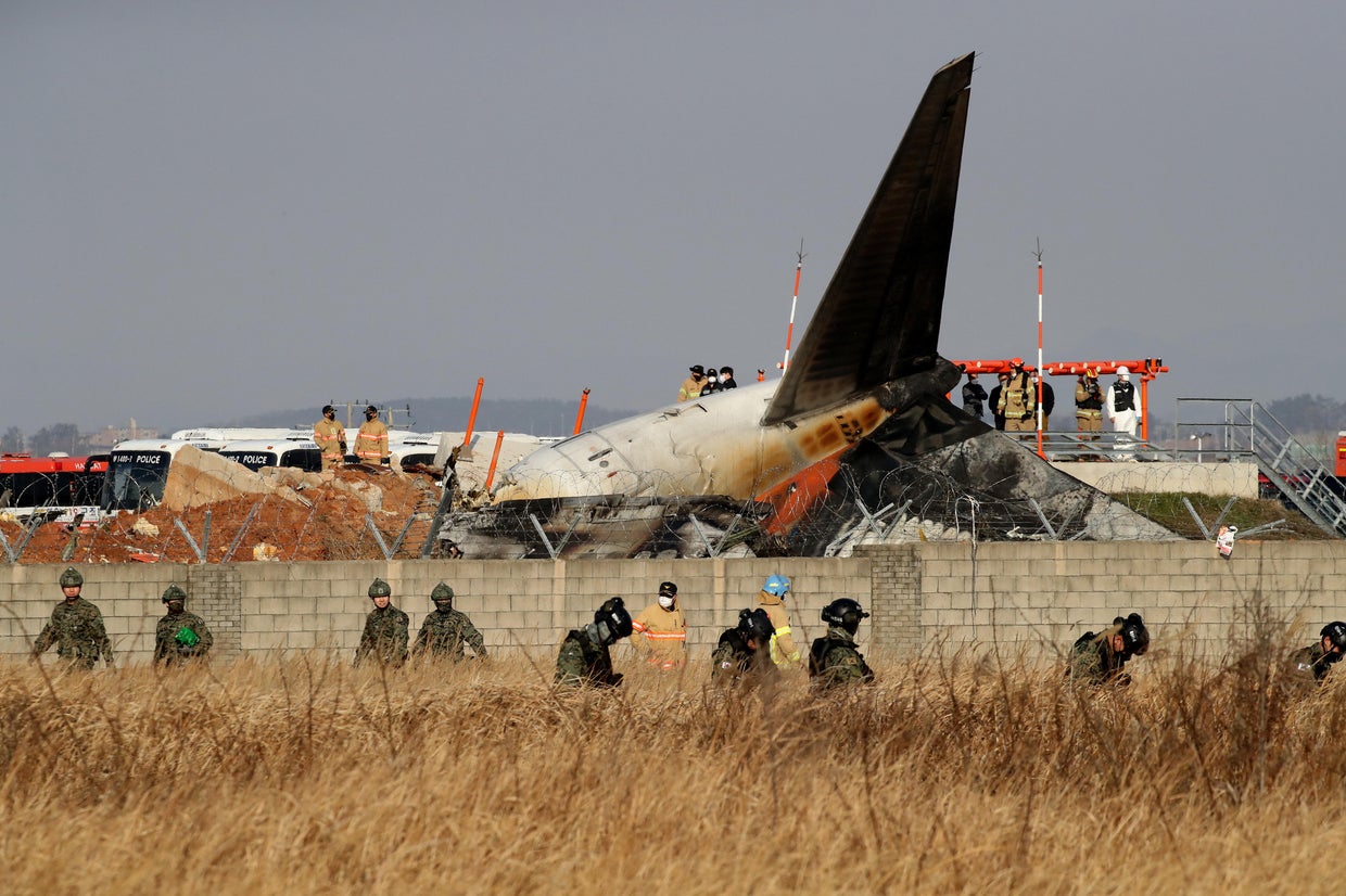 South Korea's Jeju Air plane crash probe finds duck DNA in both engines ...
