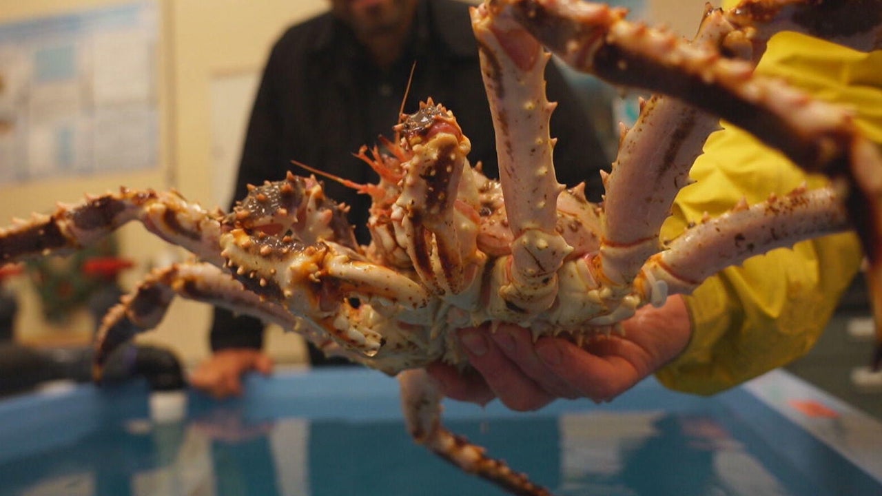 Jonathan Vigliotti - CBS News