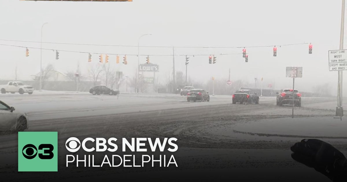 Snow falling steadily in Delaware. How much is expected in First State ...