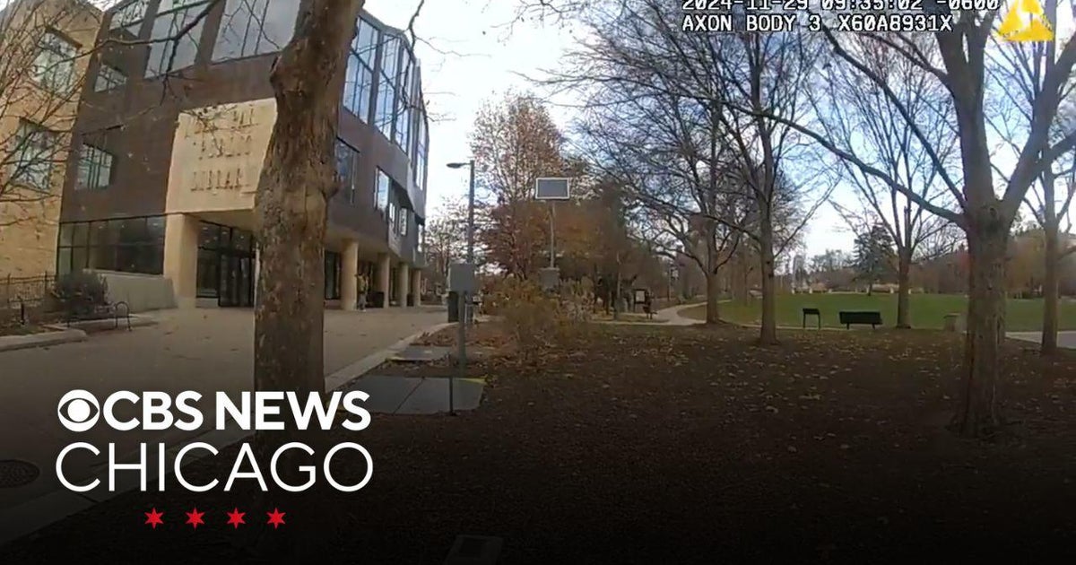Oak Park police body camera videos show fatal shooting of Detective ...