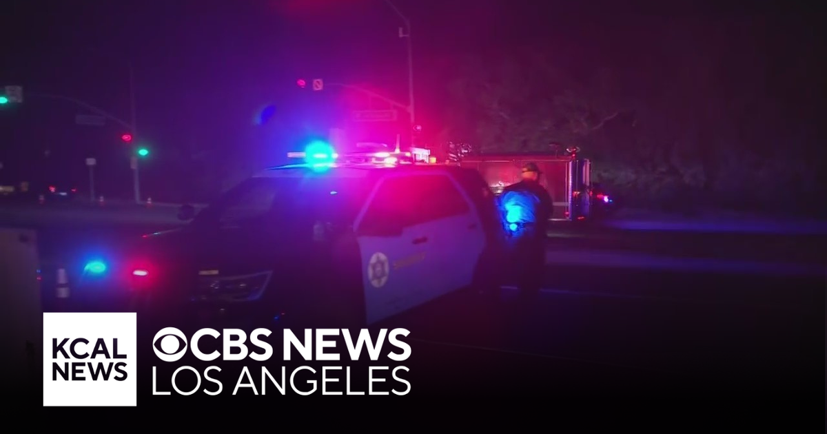 LAPD detains person after citizen's arrest in Woodland Hills - CBS Los ...