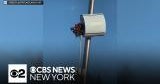 Fake flowers used to obstruct speed cameras across Staten Island - CBS ...