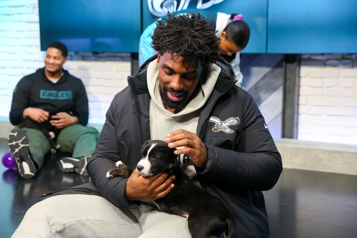 Philadelphia Eagles encourage fans to adopt their own "dawg mentality ...