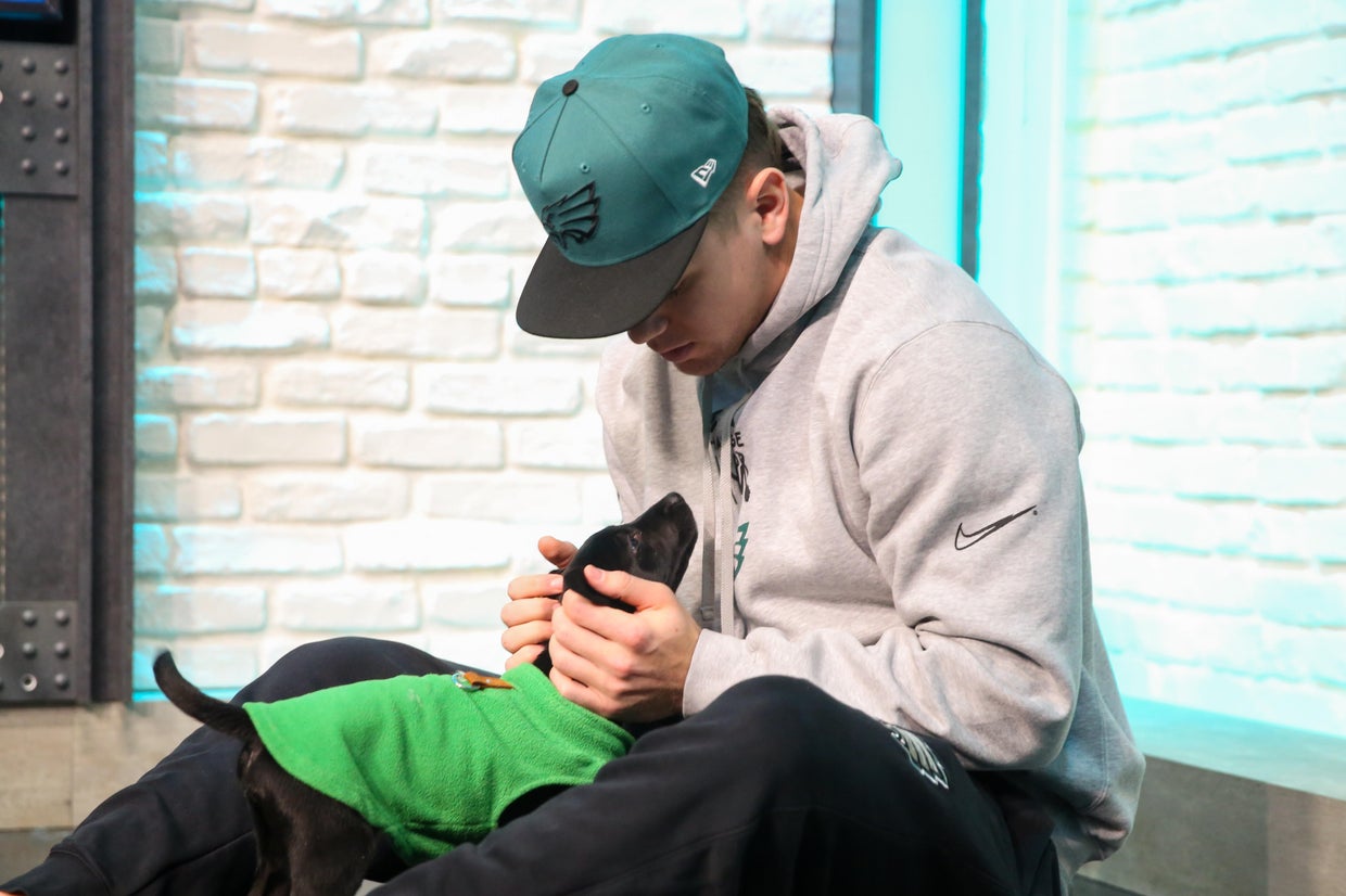 Philadelphia Eagles encourage fans to adopt their own "dawg mentality ...