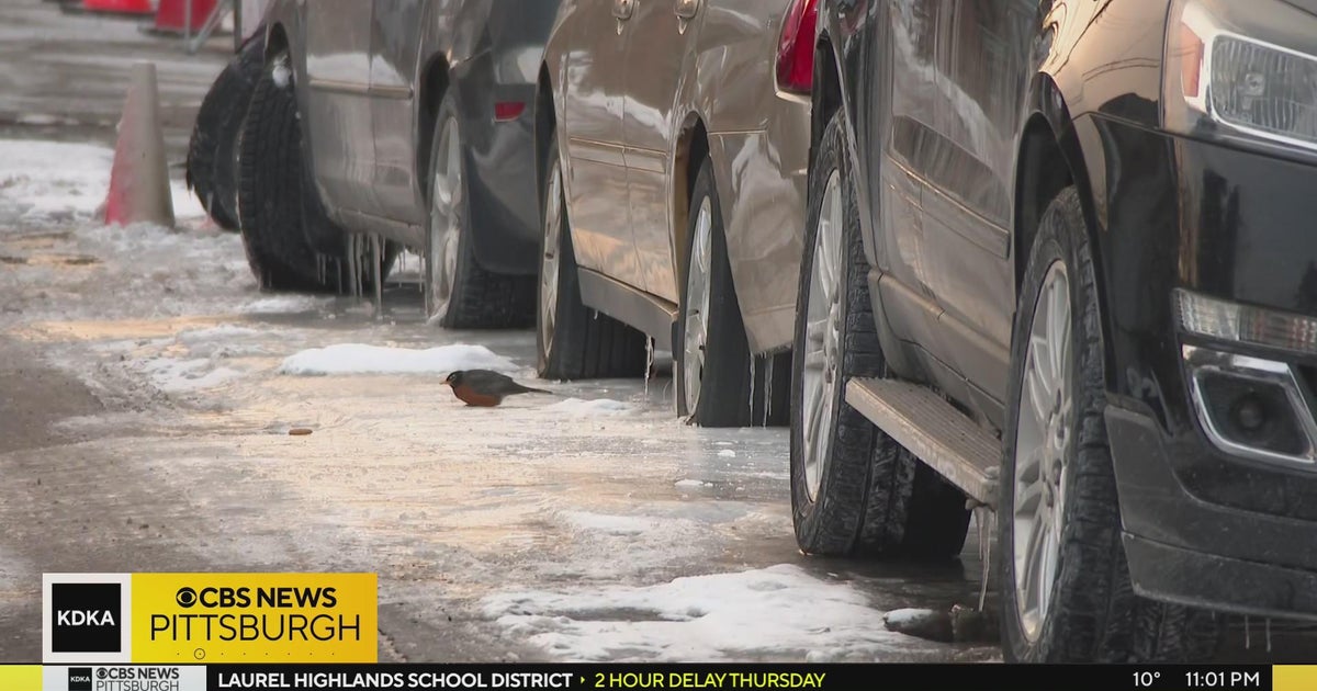 Broken water main freezes South Side street - CBS Pittsburgh