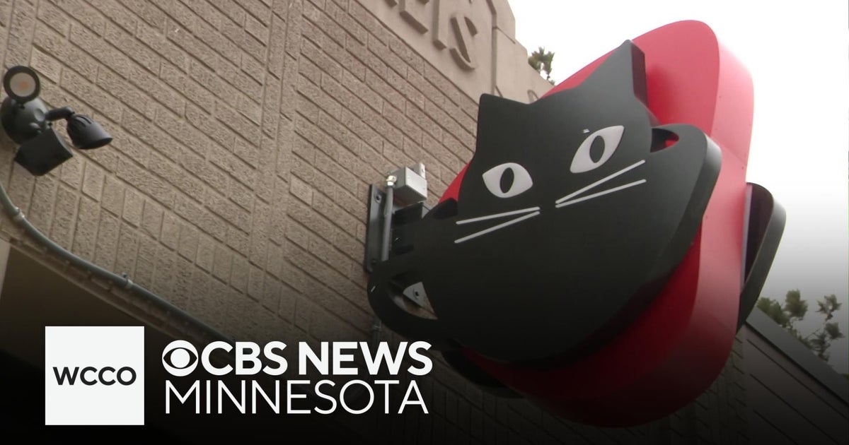 St. Paul cafe combining coffee and cats - CBS Minnesota