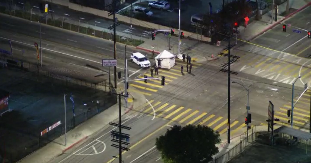 LAPD officers hospitalized after car crashes into them while investigating deadly hit-and-run in ...