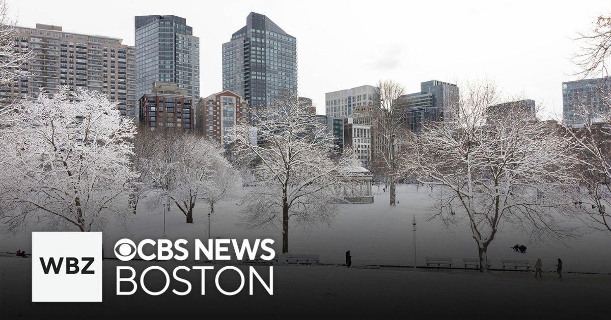 What can we expect from the rest of winter in Massachusetts? - CBS Boston