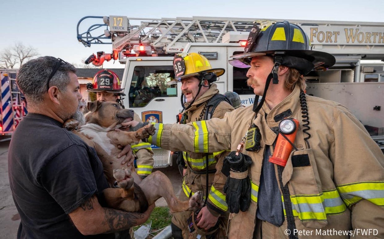 Firefighters' quick actions save family's dog in southside Fort Worth ...