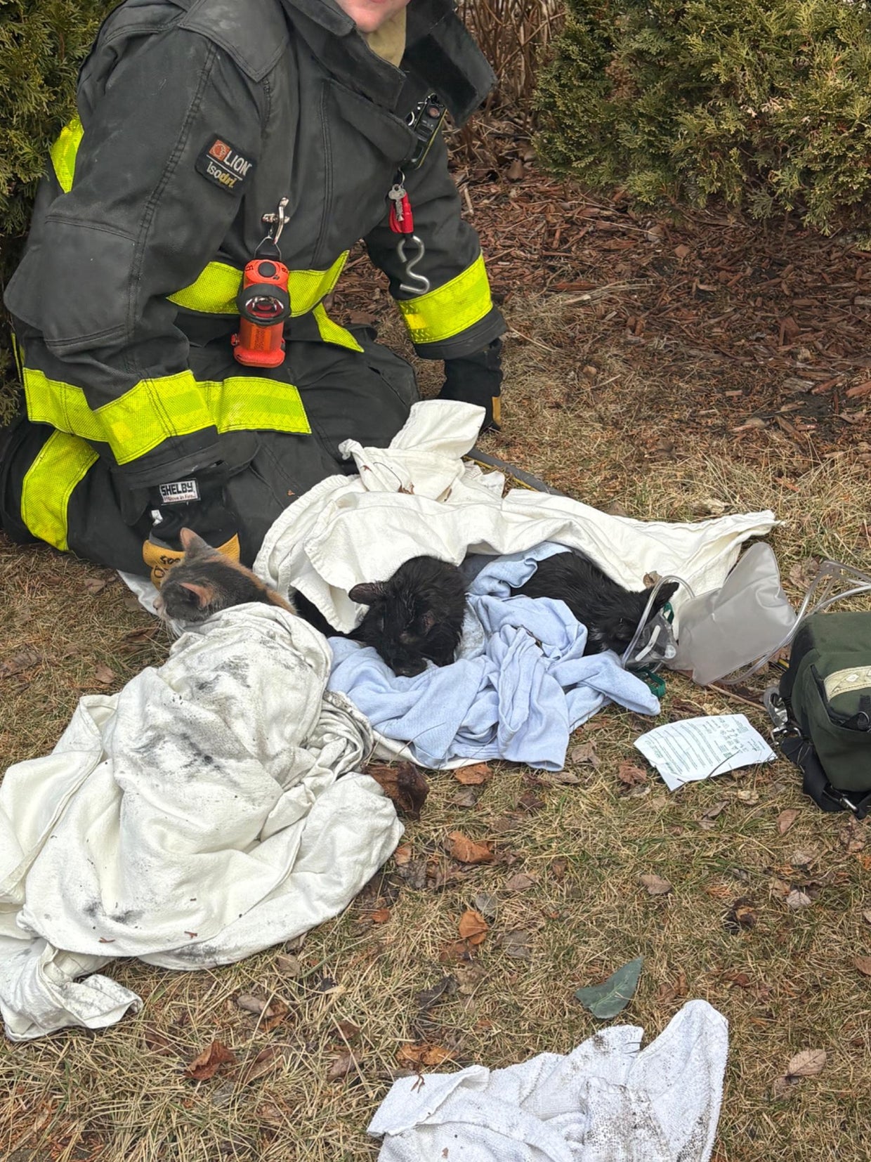 2 people critically injured, some pets dead in house fire on Chicago's ...
