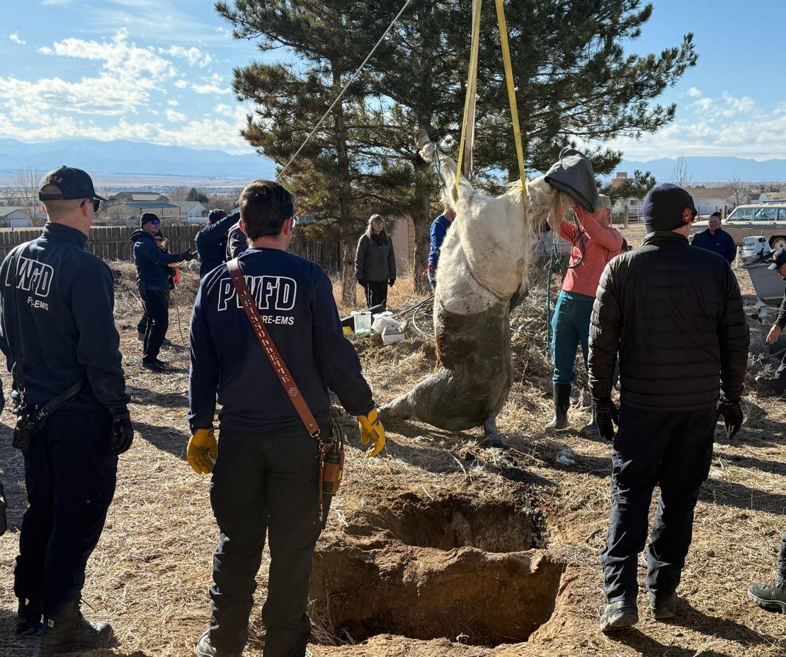 Horse rescued from collapsed septic tank in Pueblo County - CBS Colorado