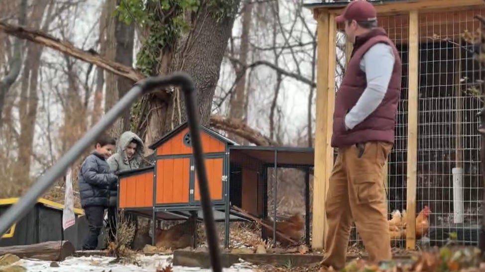 Egg prices too high? Here's how a NYC firefighter solved the problem ...