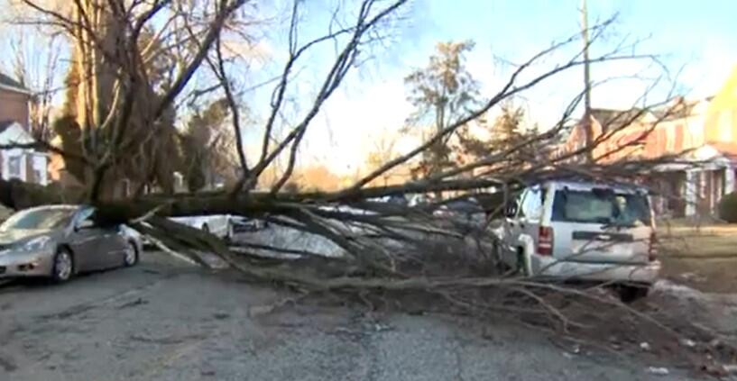 Thousands of Maryland BGE customers without power after damaging winds topple trees, powerlines ...
