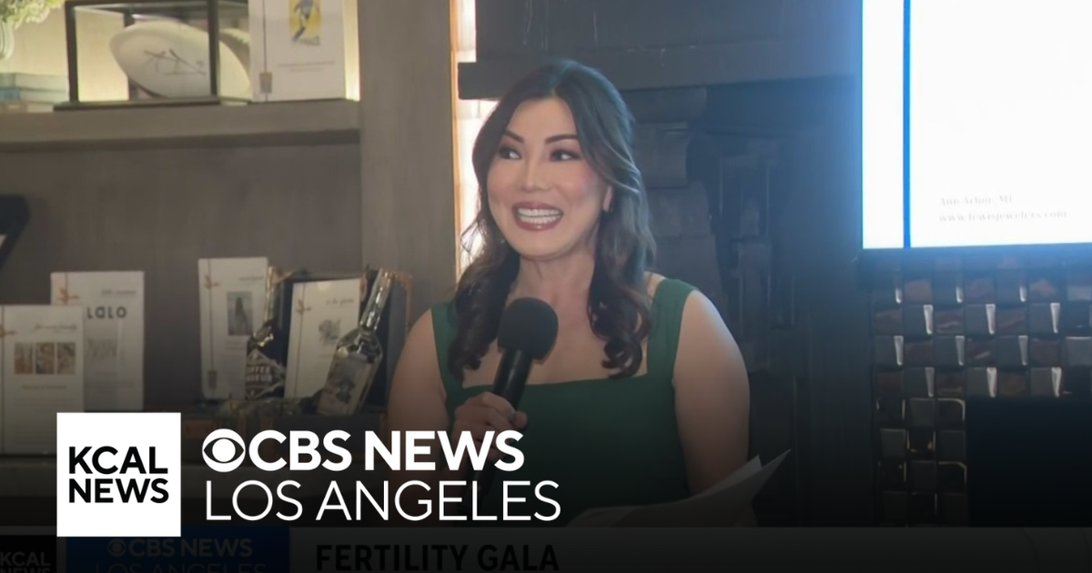 KCAL News Meteorologist Amber Lee hosts gala to support families ...