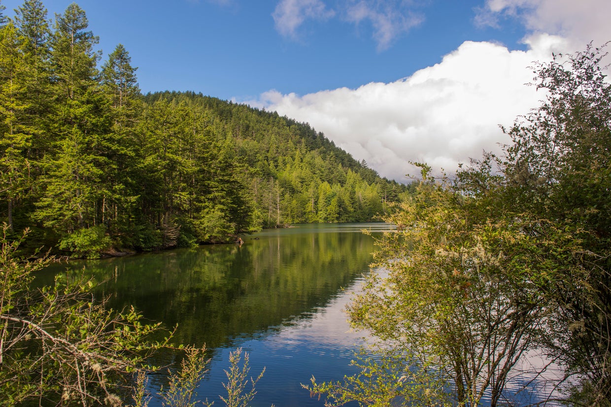 Earthquake strikes off Washington's Orcas Island northwest of Seattle ...