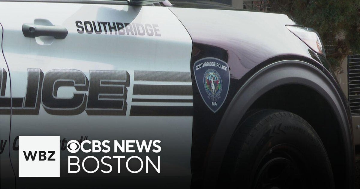 Bobcat attacks police officer in Southbridge - CBS Boston