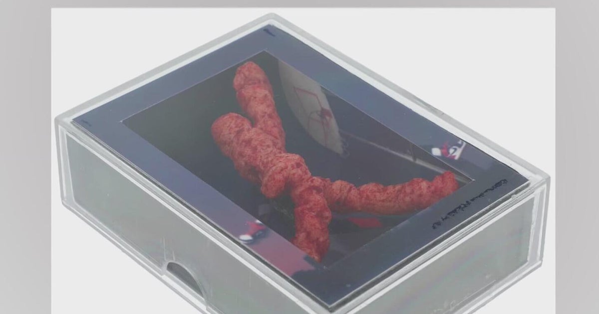 Air Jordan "Jumpman" Cheeto goes up for auction - CBS Detroit